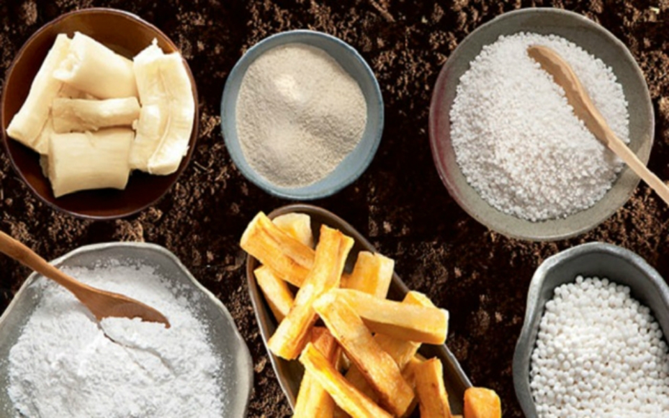 A Mandioca e Seus Alimentos Derivados - MGT Nutri A Mandioca e Seus Alimentos Derivados - MGT Nutri
